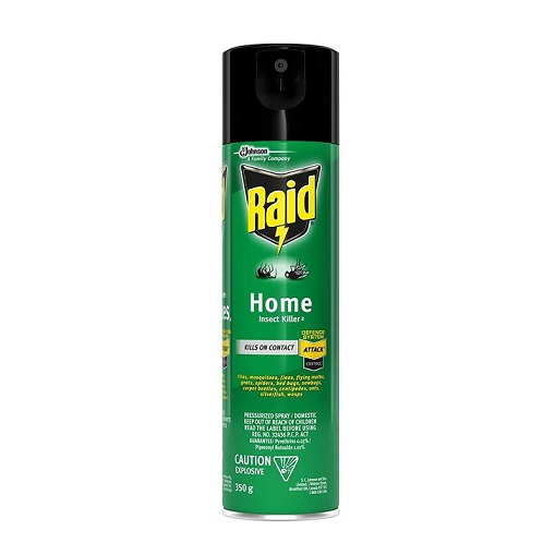 Raid Home Insect Killer 350g – Bestfive Enterprise